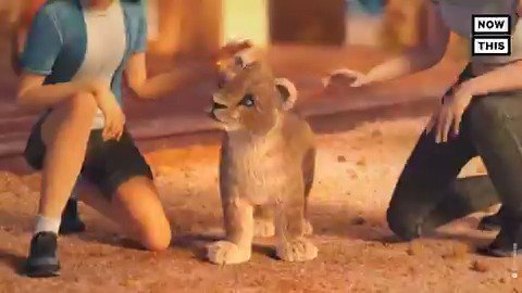 Cartoon Lion Hunting