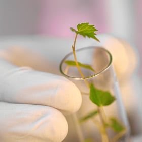 Patho Solutions (@PathoSolutions) | Twitter