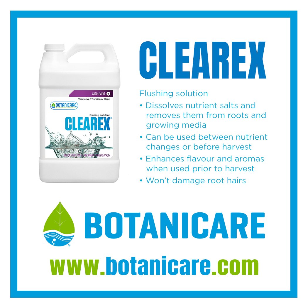 HydroGarden on Twitter: "CLEAREX is a flushing agent used prior to harvest or for rinsing ...