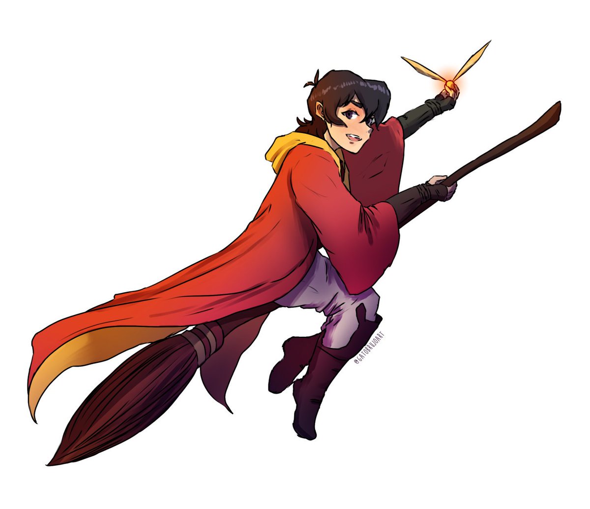 Quidditch Harry Potter Flying