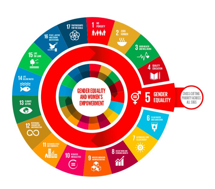 UN Women India on Twitter: "The 2030 Agenda for Sustainable Development places #SDG5 on gender ...