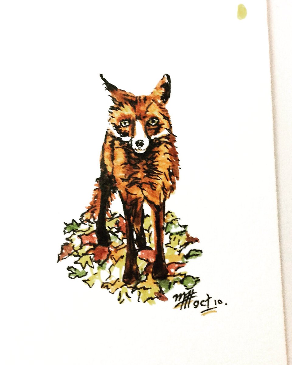 Twoucan - Edinburgh Inky Fox (@EdinburghFoxInk)