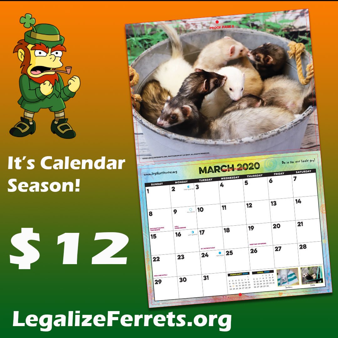 Pat Wright on Twitter: "It's calendar season! So many #ferret calendars ...