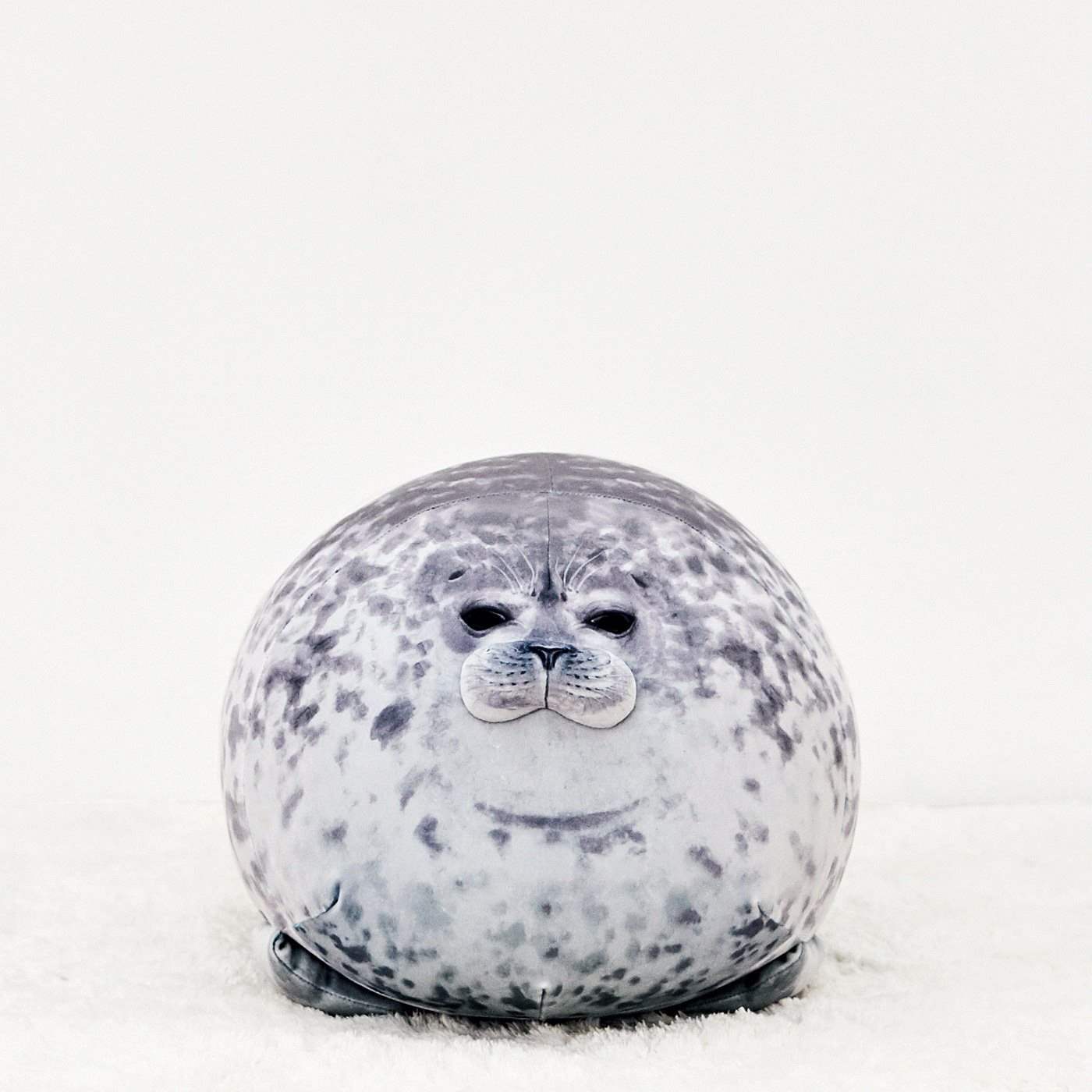 Worried Seal Meme