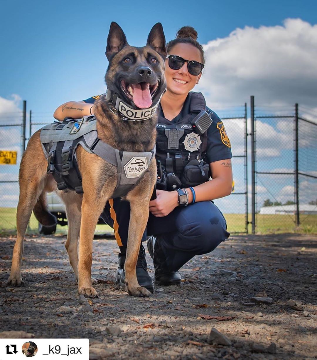 On Patrol K9 on Twitter: "Wow! K9 Team - #WowK9Team Officer Brittney Fornarotto and K9 Jax ...