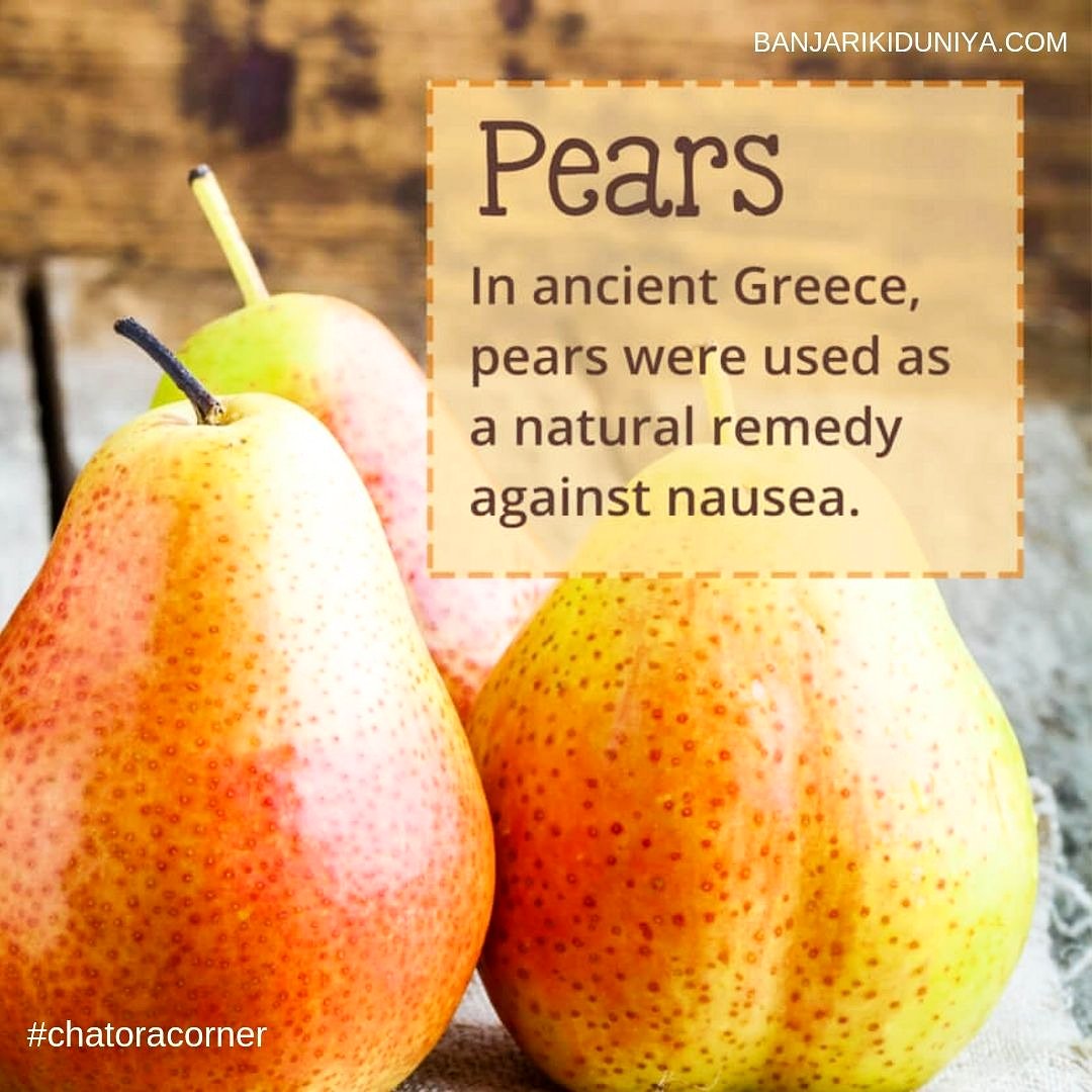 Ancient Greece Fruit