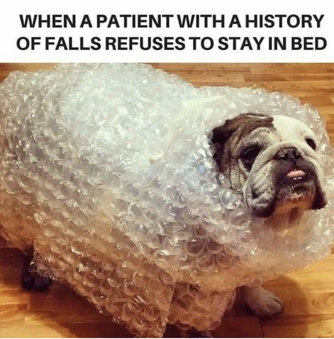 JenRob (@JenRob07635685) | Twitter