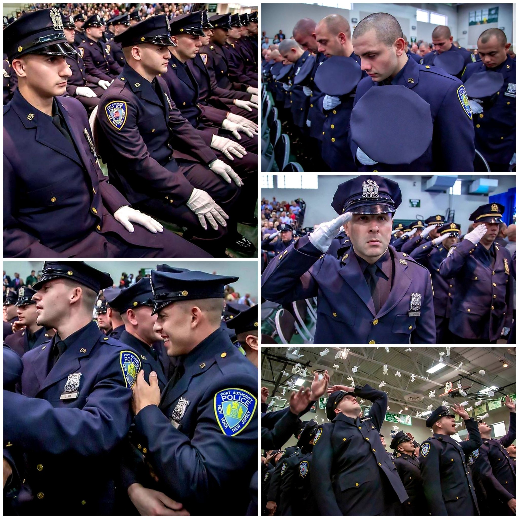 Port Authority Police Logo