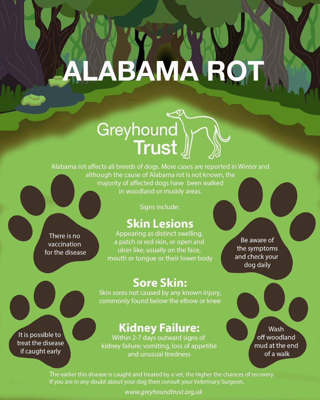 What Causes Alabama Rot In Dogs