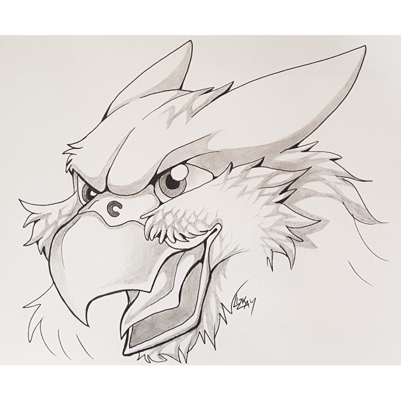 Gcartoonish Gryphon Drawings