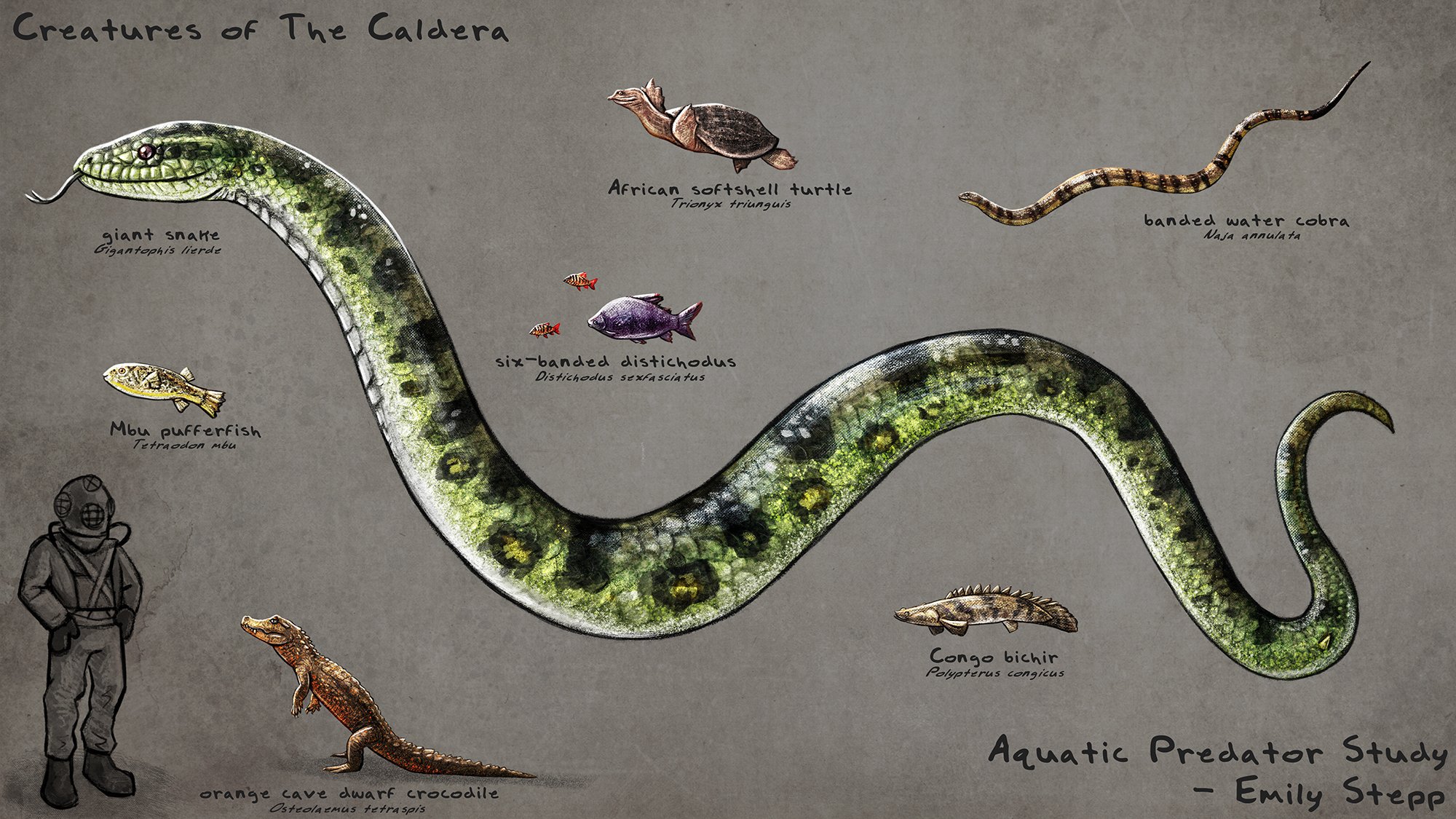 Cryptids Giant Snake Giant Congo Snake Length Estimates