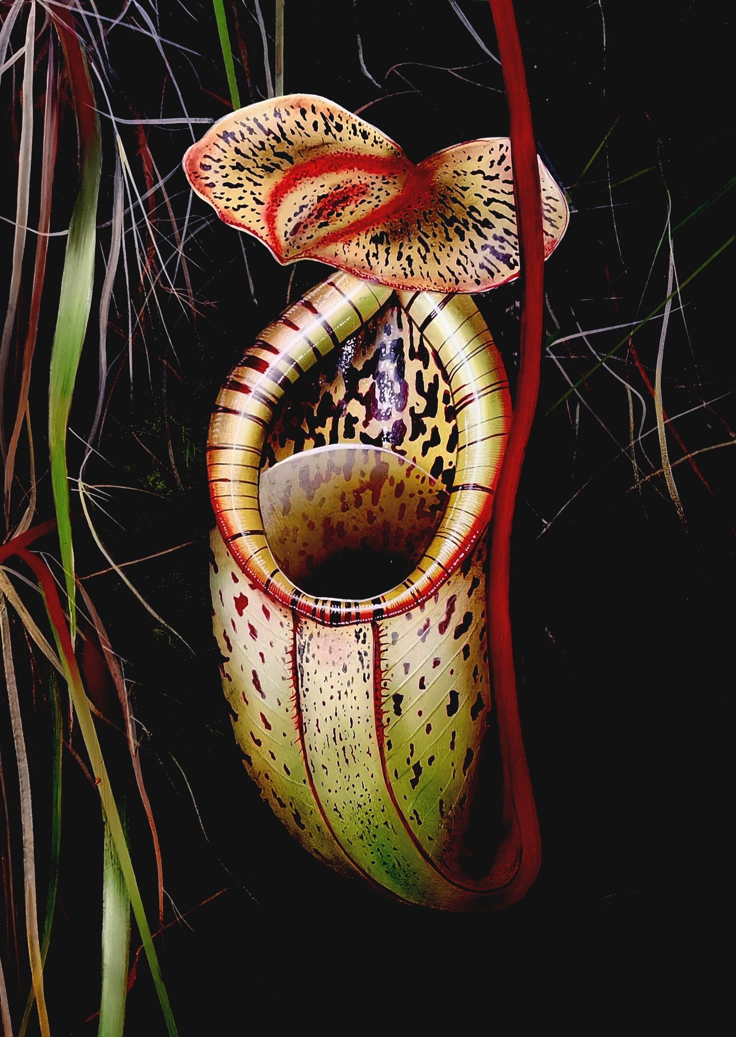 Pitcher Plant Painting