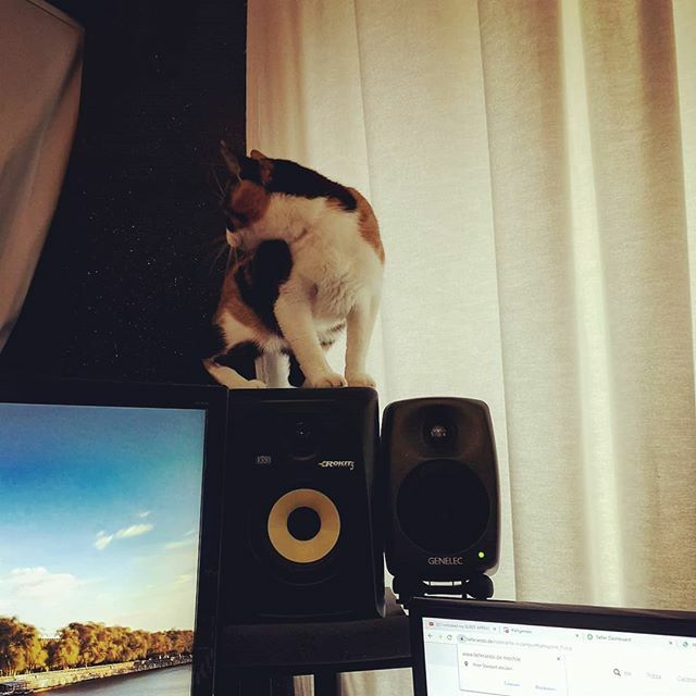 Redbox Studios (@RedboxStudiosde) | Twitter