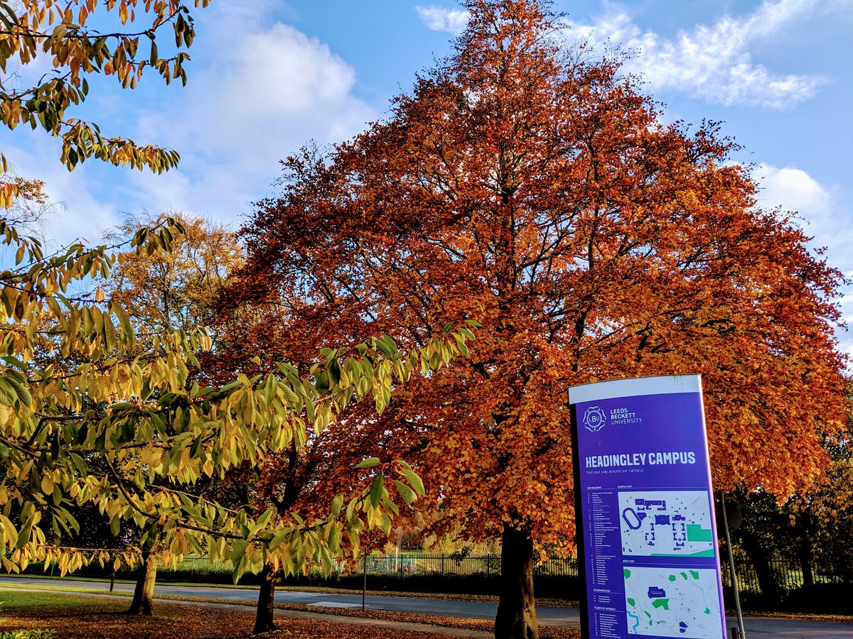 Leeds Beckett University Headingley Campus Library - emsekflol.com
