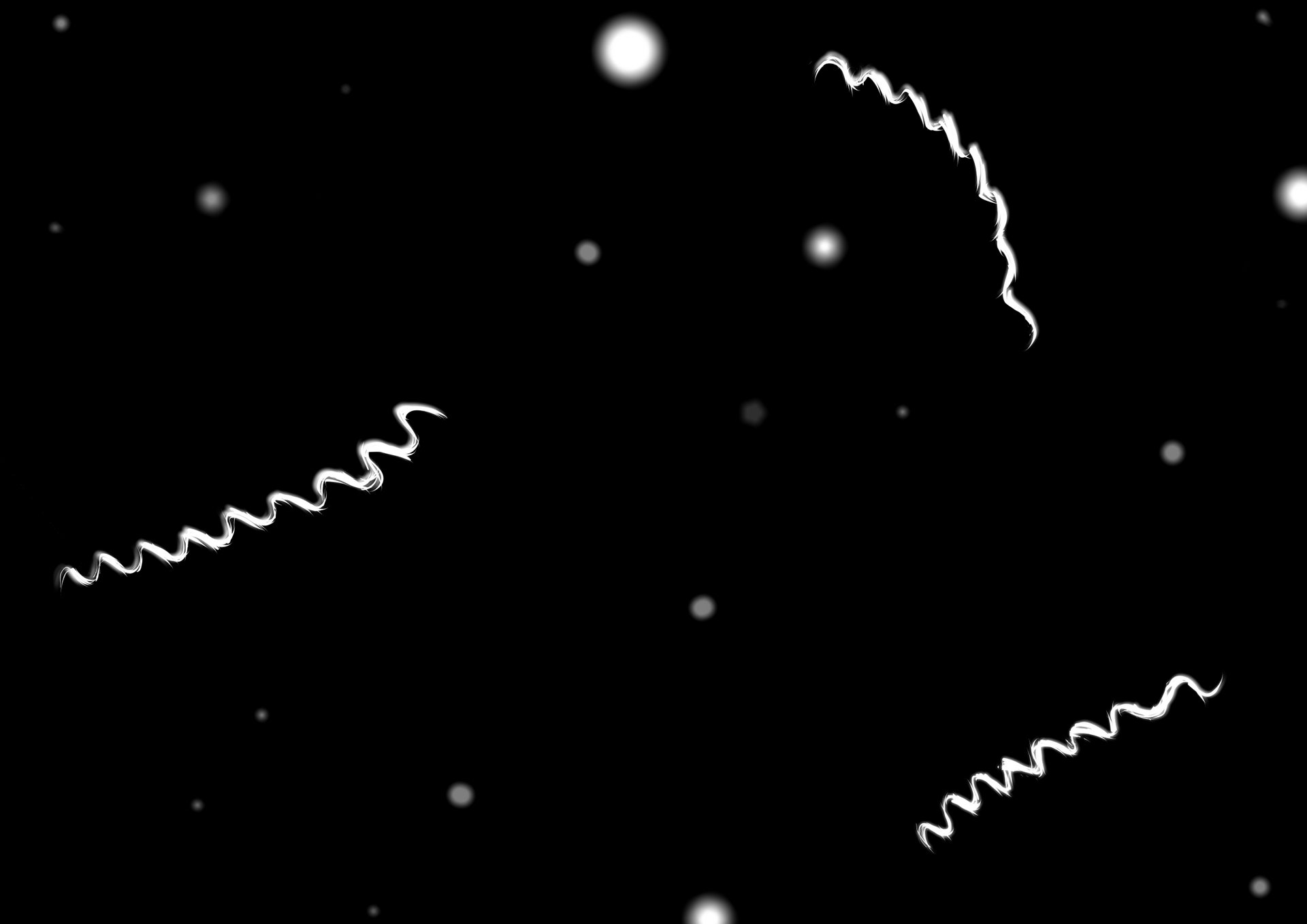 Treponema Pallidum Dark Field