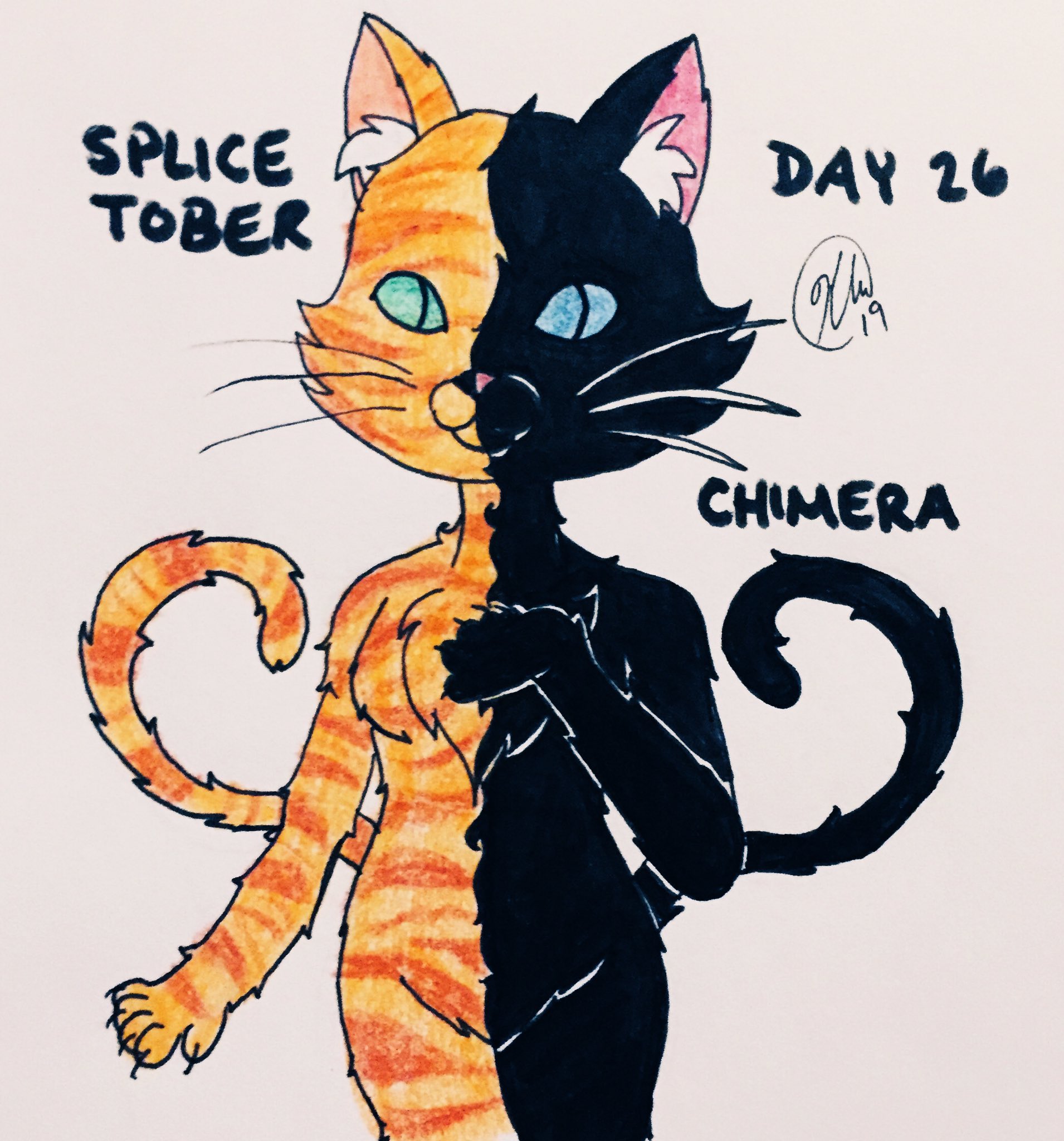 Chimera Genetics Cat