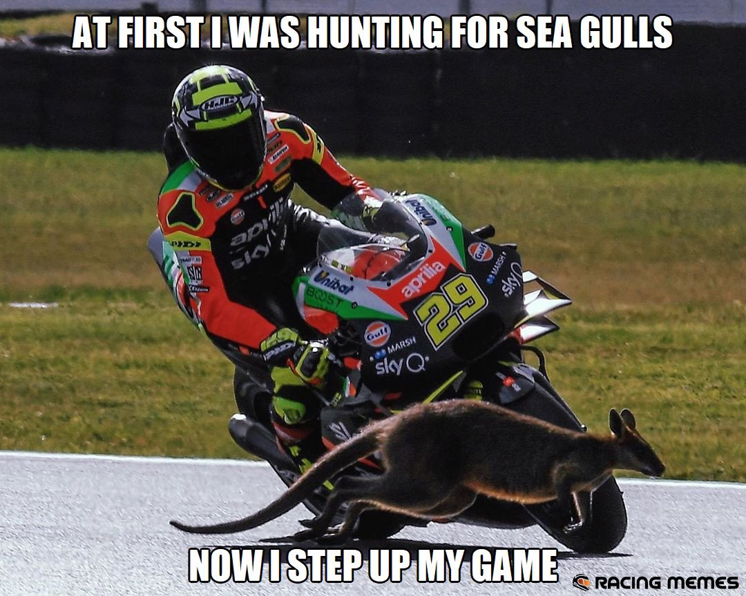 Motorcycle Racing Memes
