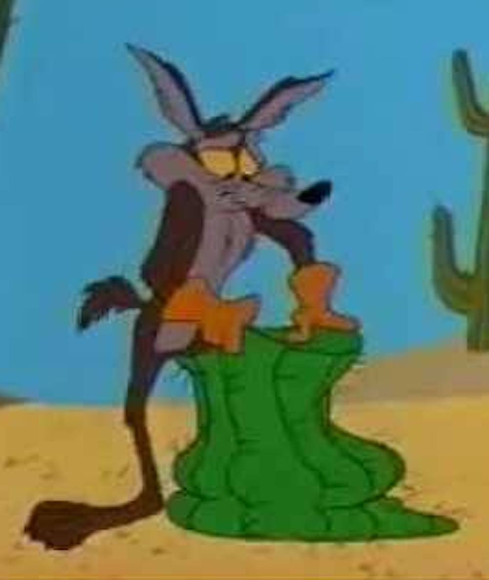 Roadrunner And Wile E Coyote Costumes