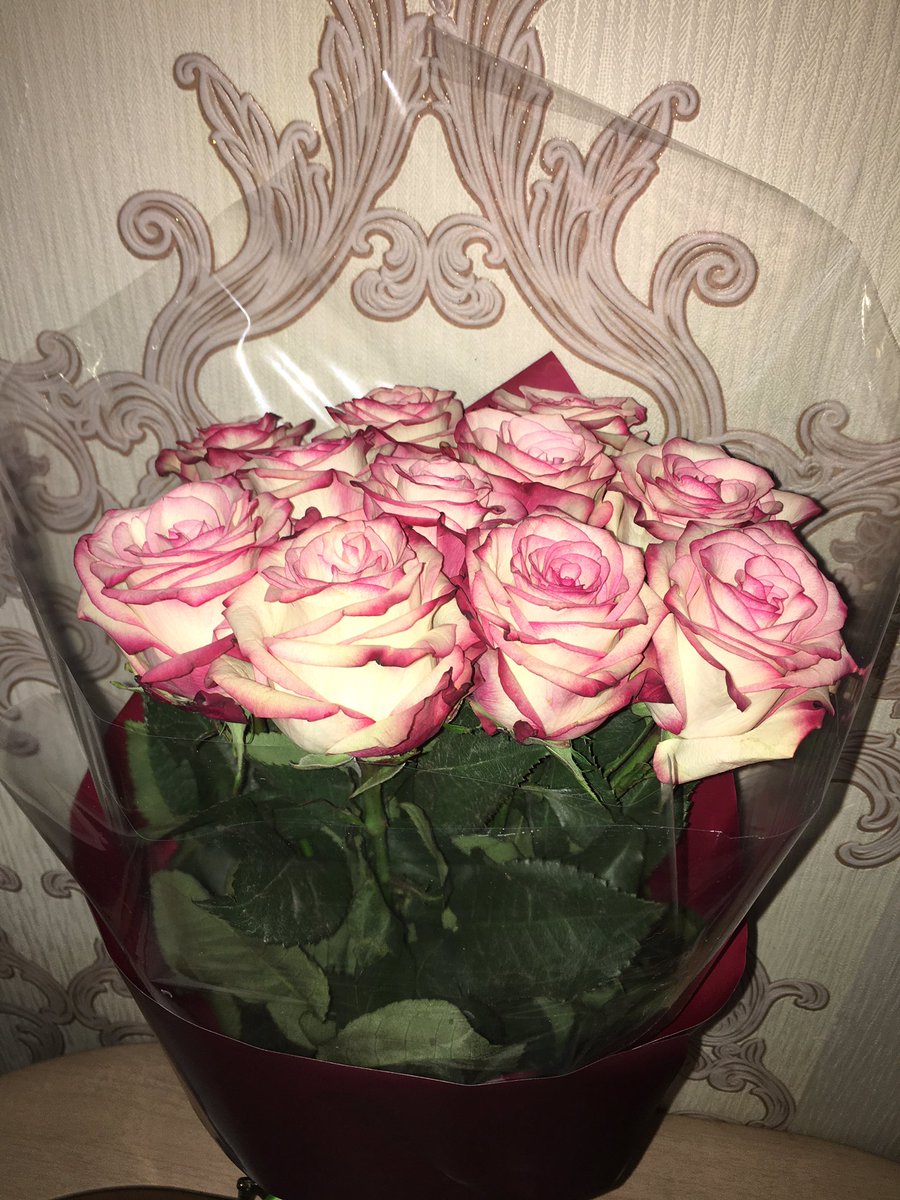 DEMLER🖤 (@Goodcobra_) | Twitter