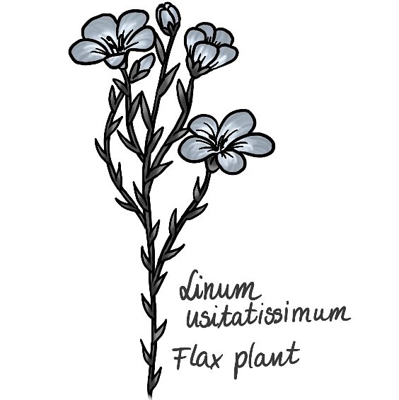 Dr. Daria Chrobok (@DC_SciArt) さんのイラスト・マンガ作品まとめ (15 件) - Twoucan