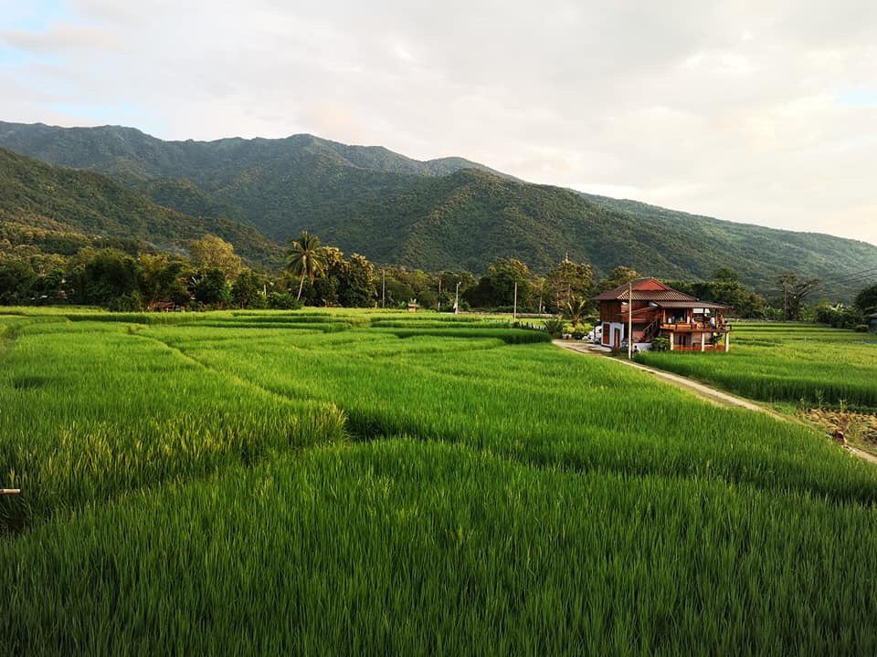 Panida Suwan (@PanidaSuwan1) | Twitter