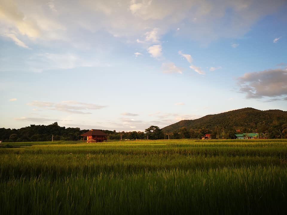 Panida Suwan (@PanidaSuwan1) | Twitter