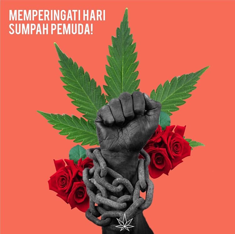 15+ Gambar Bunga Mawar Ikspi Populer - Informasi Seputar Tanaman Hias