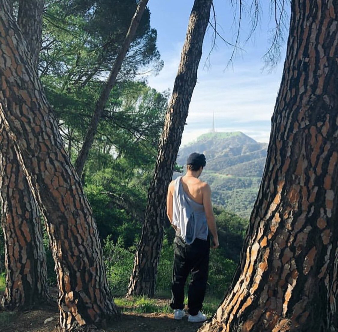 𝒂𝒍𝒆𝒙. (sh) (@ANYWHEREALEX) | Twitter