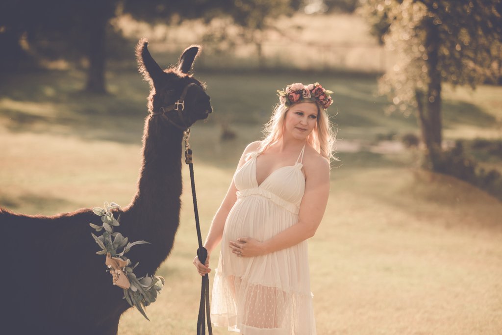 BlessedStudios (@blessed_studios) | Twitter