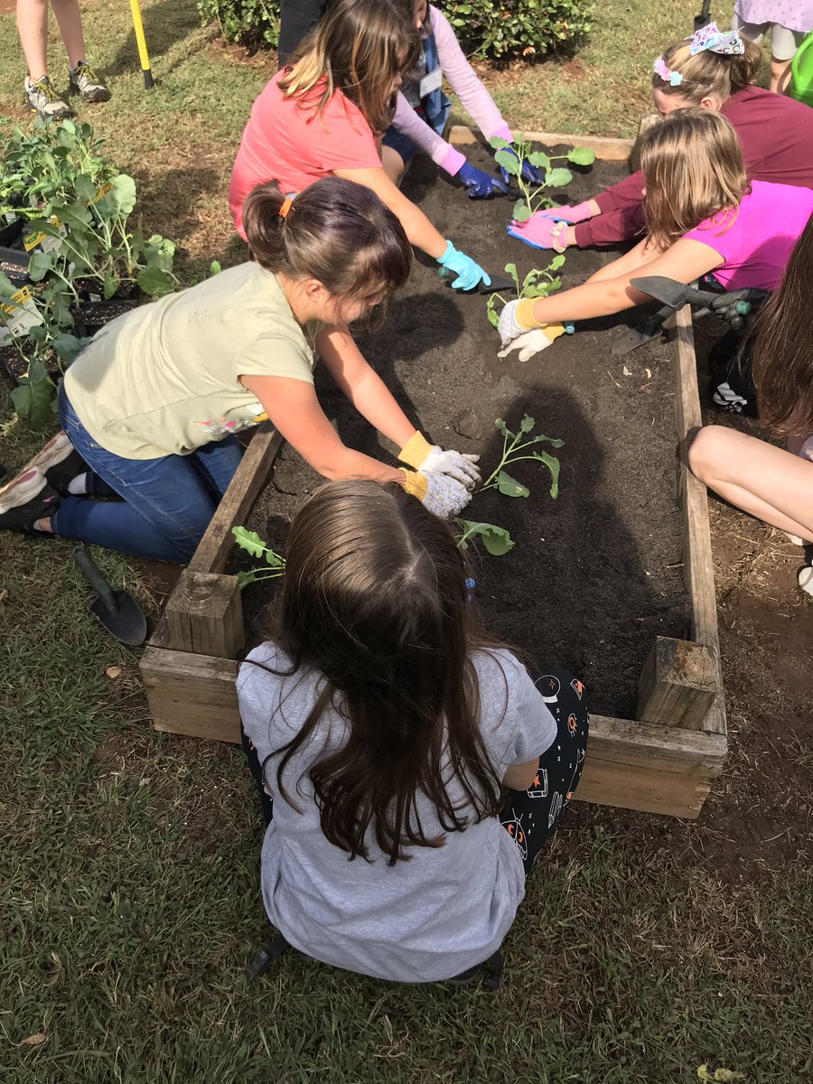 Lula Elementary School – Home of the Bulldogs