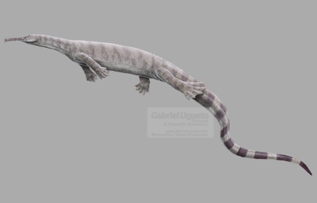 Mesosaurus