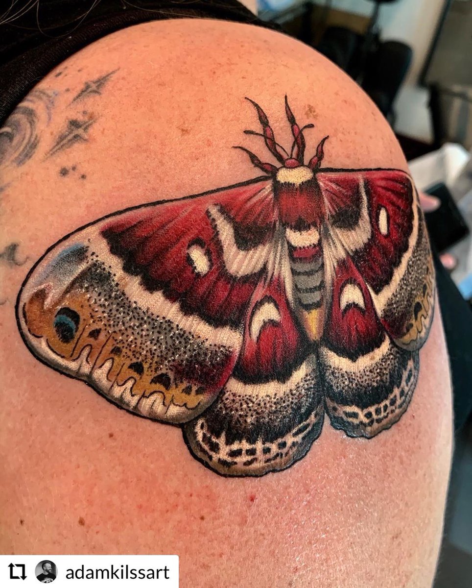 Cecropia Moth Tattoo