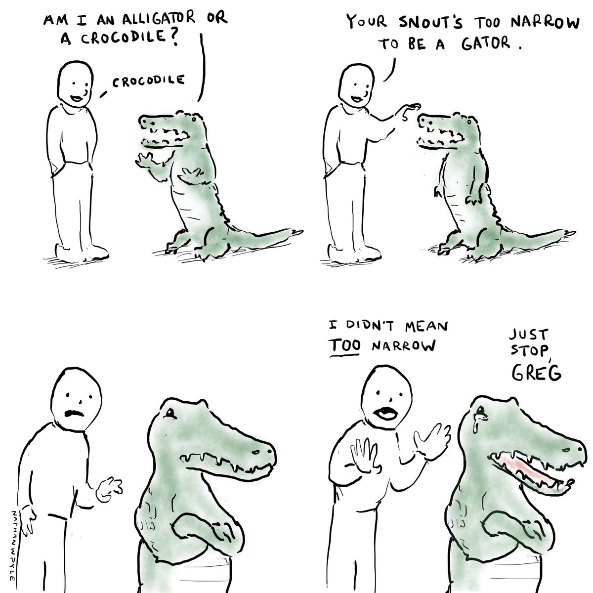 Nathan W Pyle On Twitter