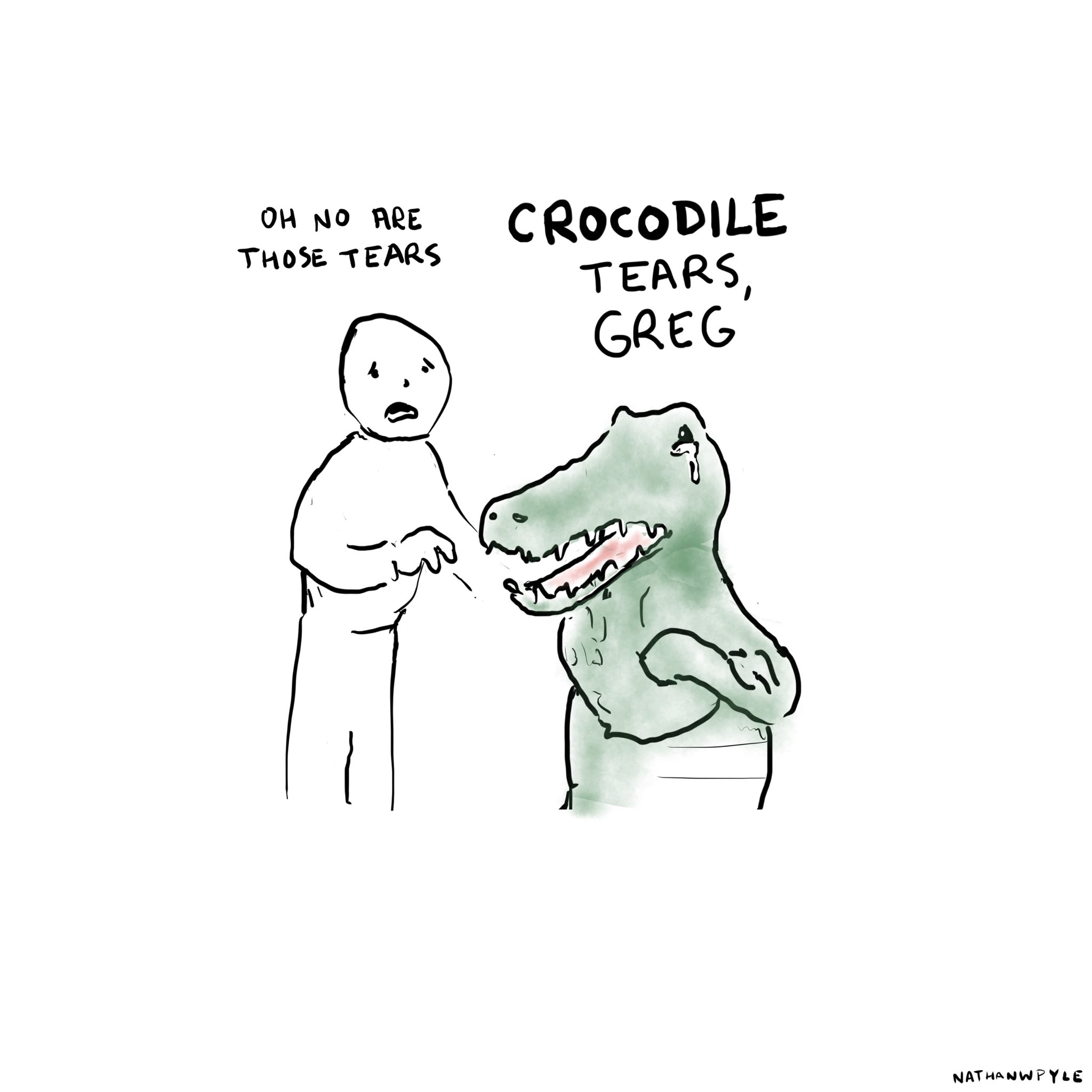 Nathan W Pyle On Twitter