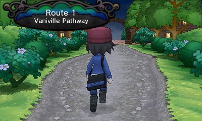 Pokemon pathways