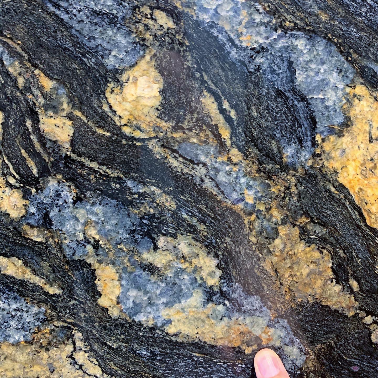 Migmatite Countertops