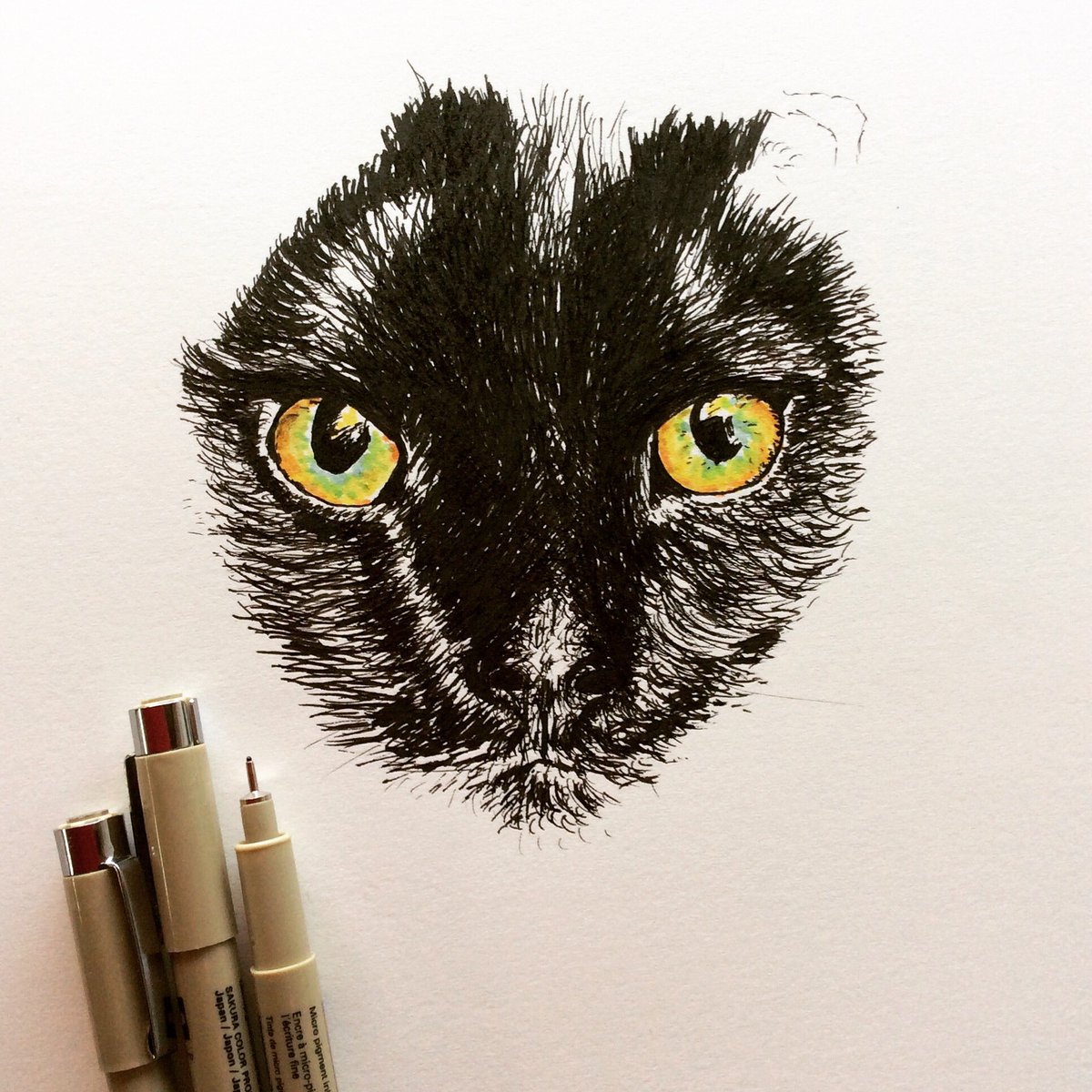 Twoucan - Edinburgh Inky Fox (@EdinburghFoxInk)