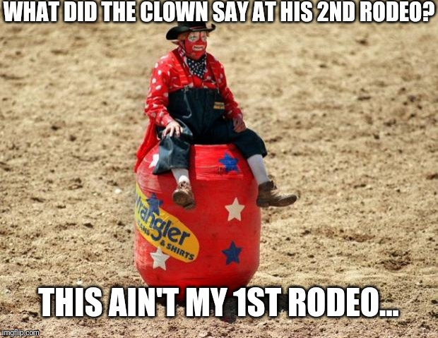 Funny Rodeo Memes