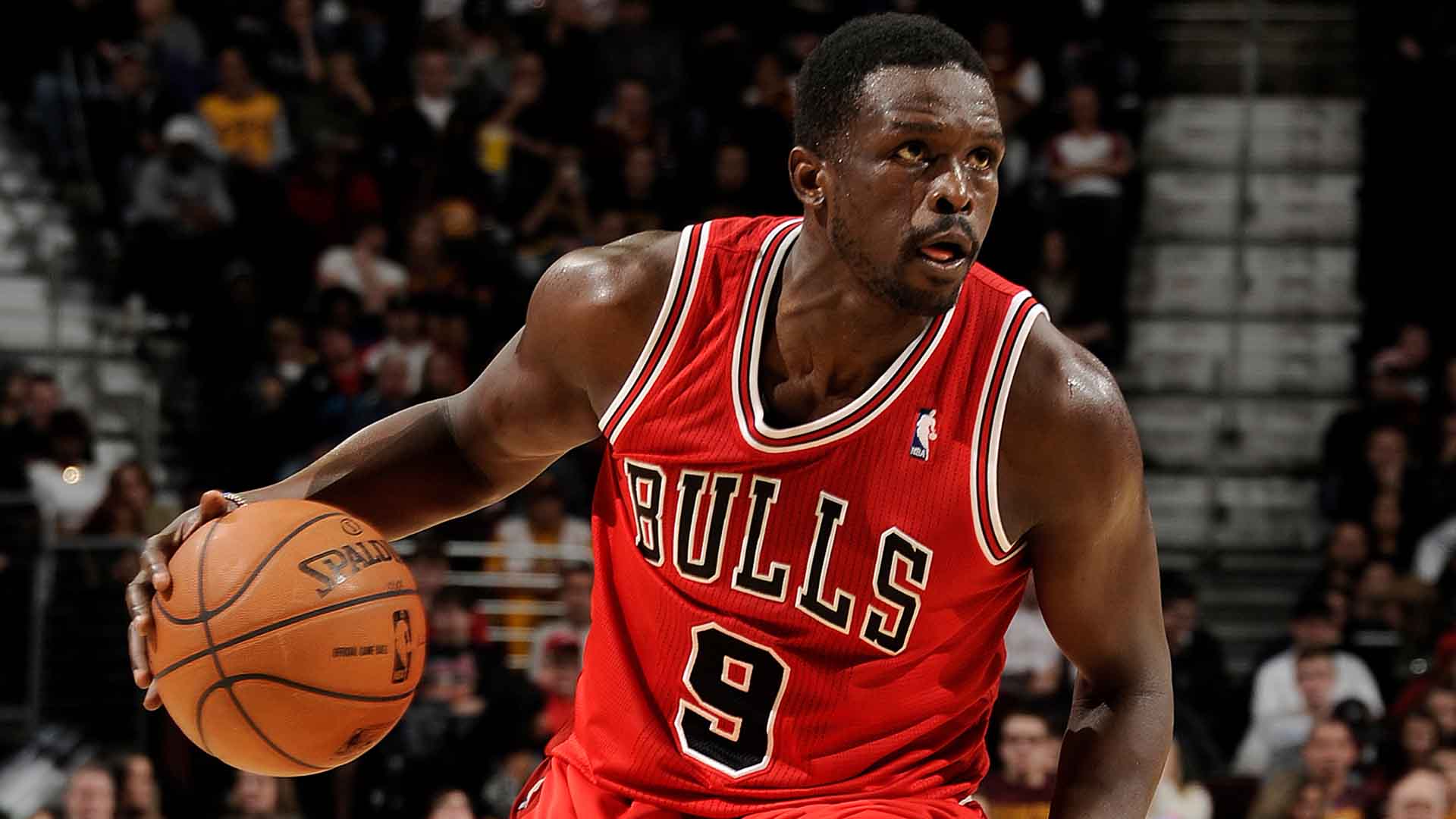 Luol Deng Bulls
