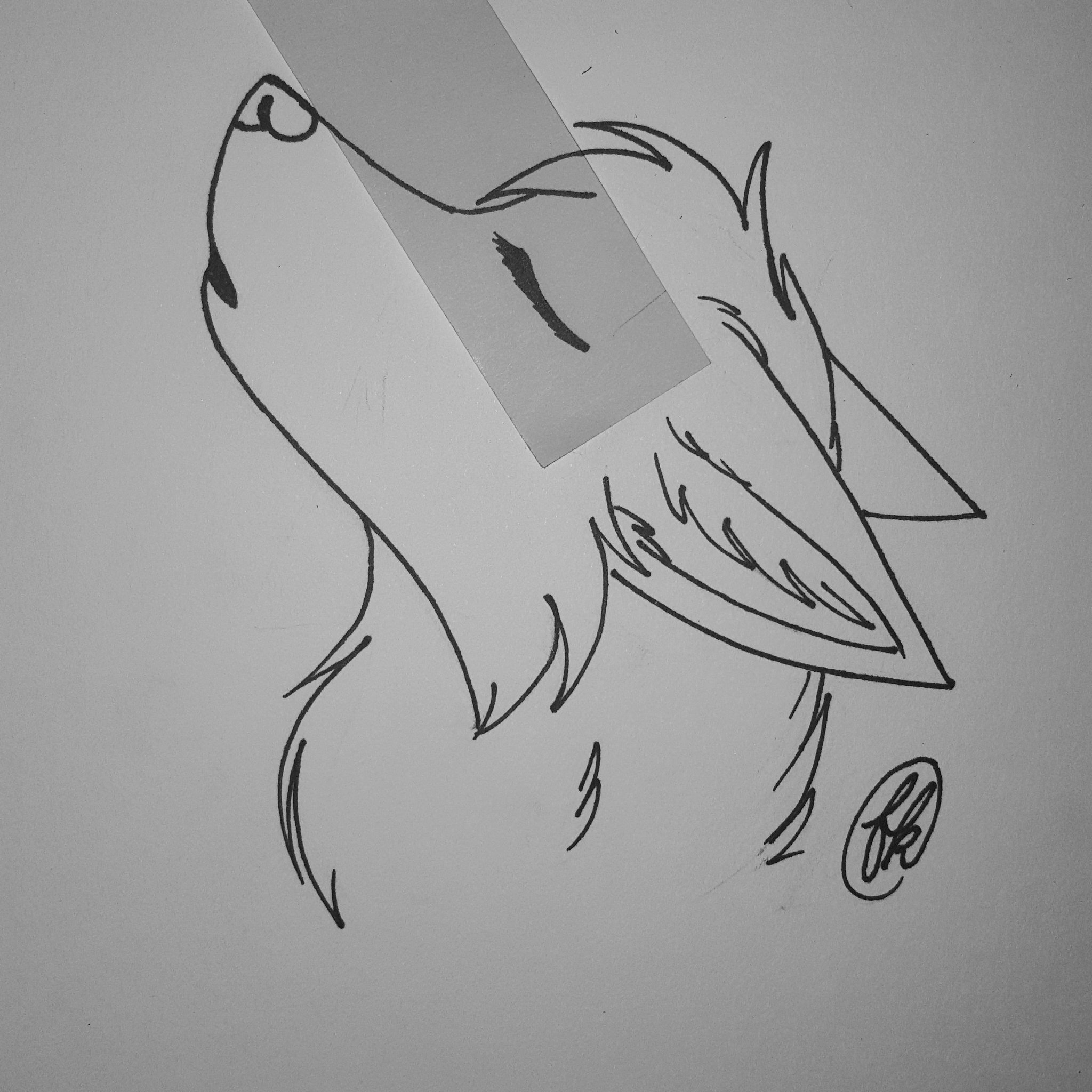 Sad Wolf Drawing