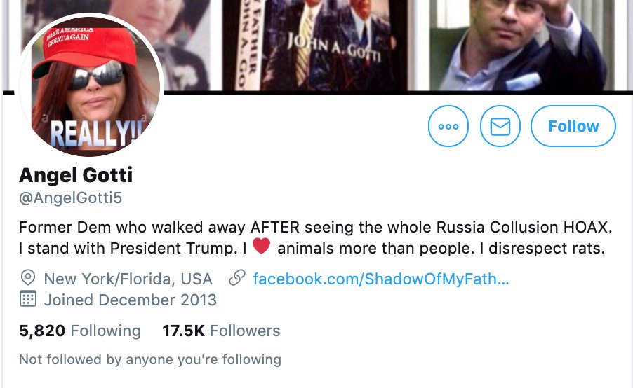 Christopher Hooks on Twitter: "somehow didnt know till today that John Gotti's daughter—a woman ...