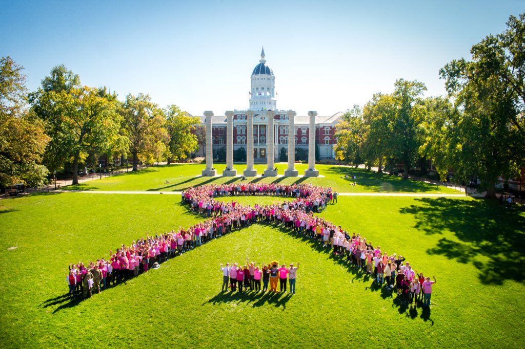Mizzou Columns Wallpaper