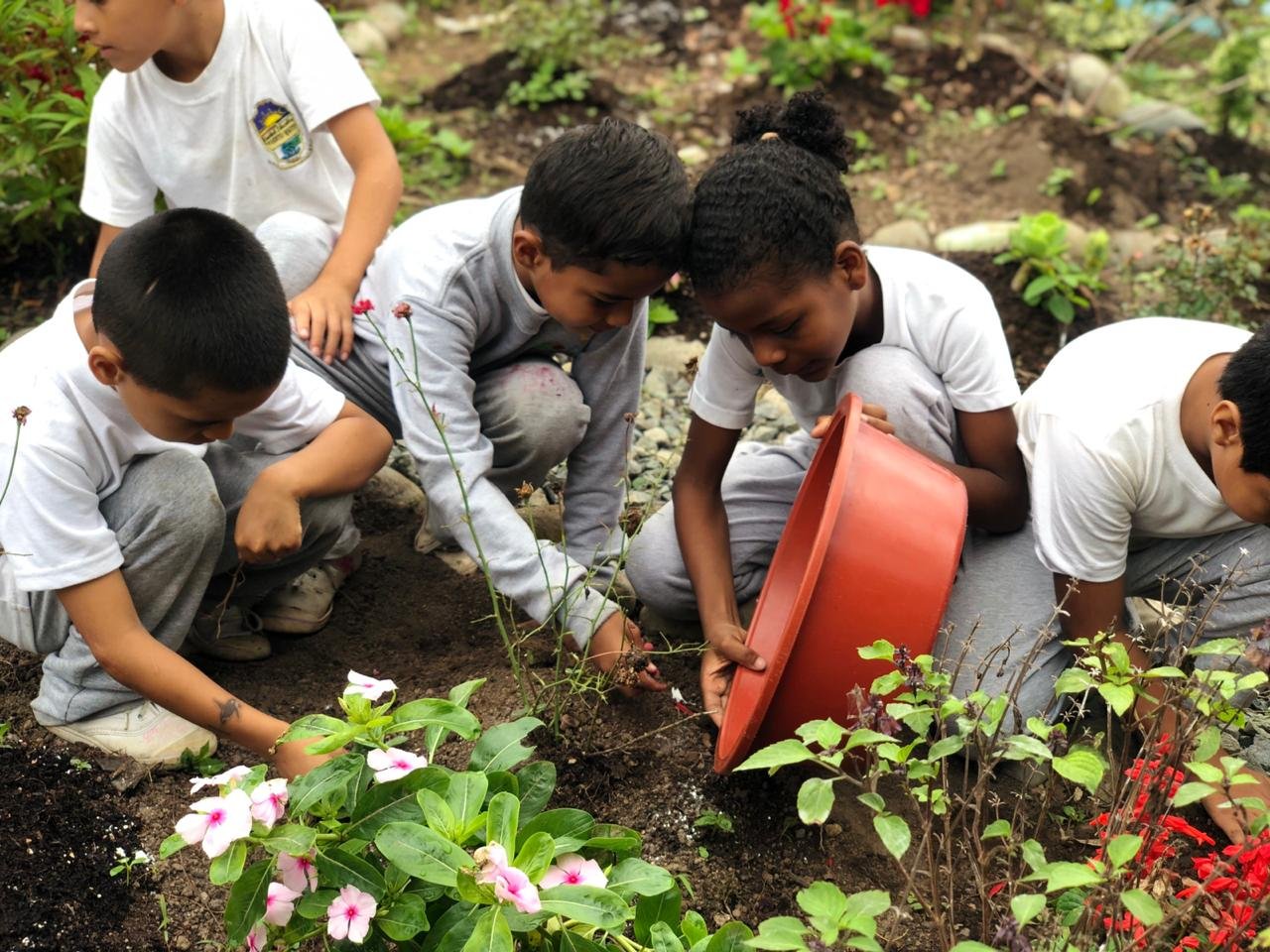 Educación Zona 2 on Twitter: "HOY🌿I @EducacionZ2_Ec celebra el Día ...
