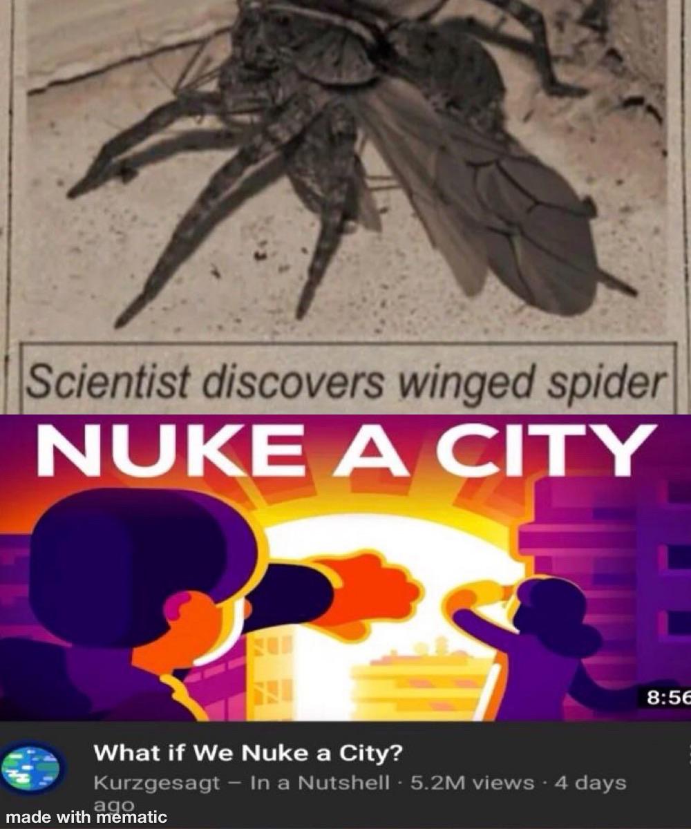 Winged Spider Memes
