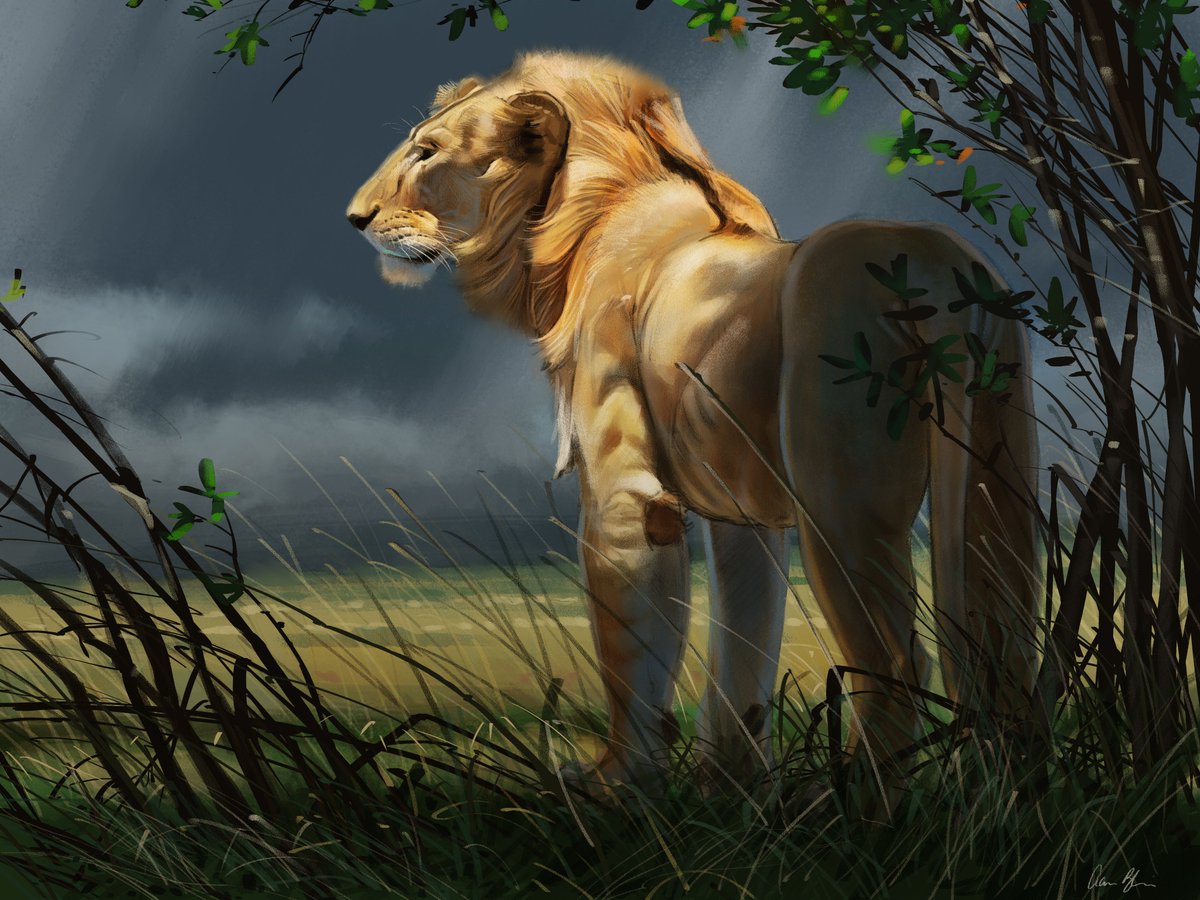 Twoucan - Aaron Blaise