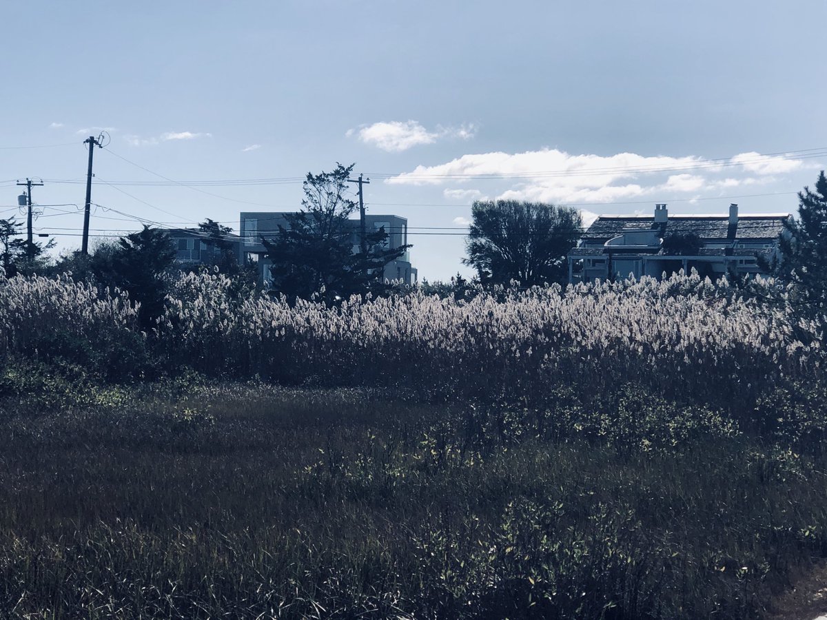 Steve Sears (@sm_sears) | Twitter