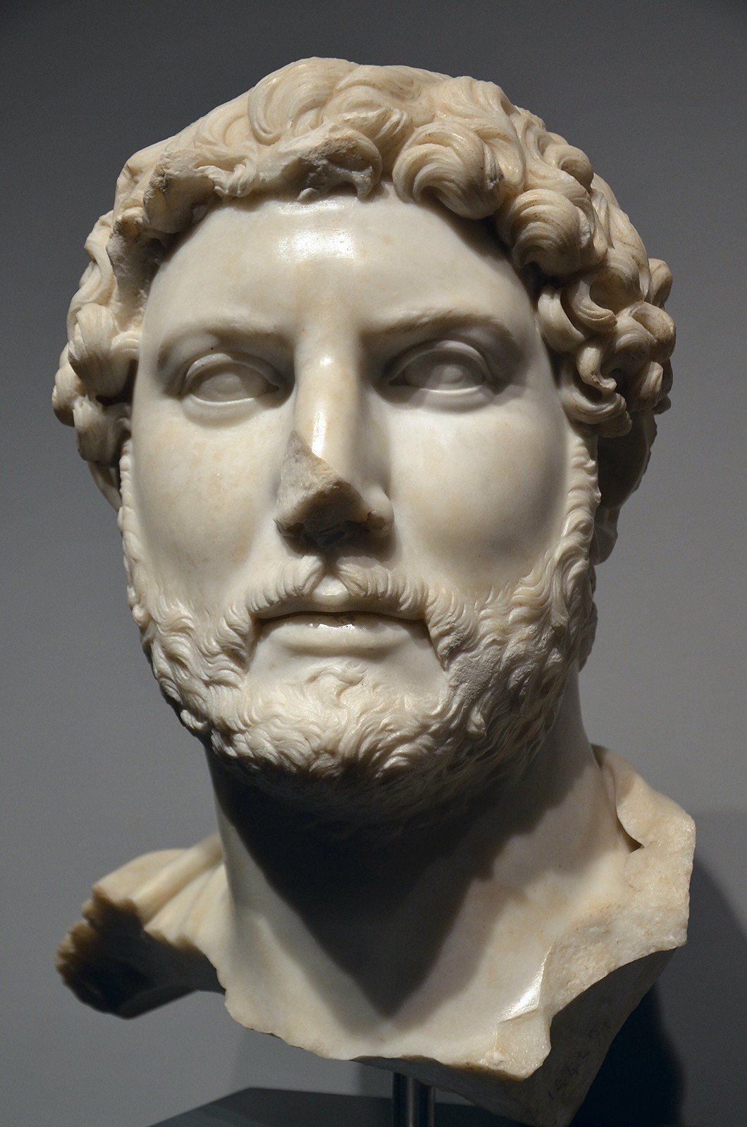 Portrait Of Hadrian