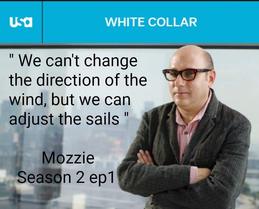 Mozzie Quotes