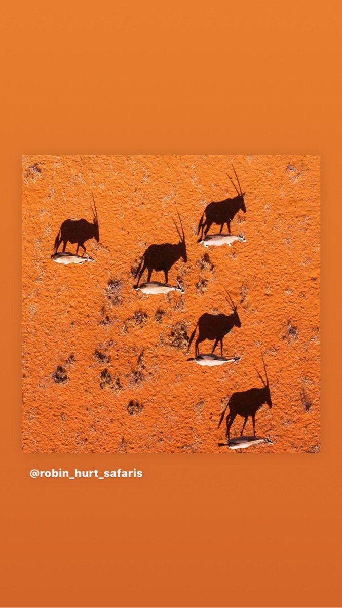 Steve Sears (@sm_sears) | Twitter