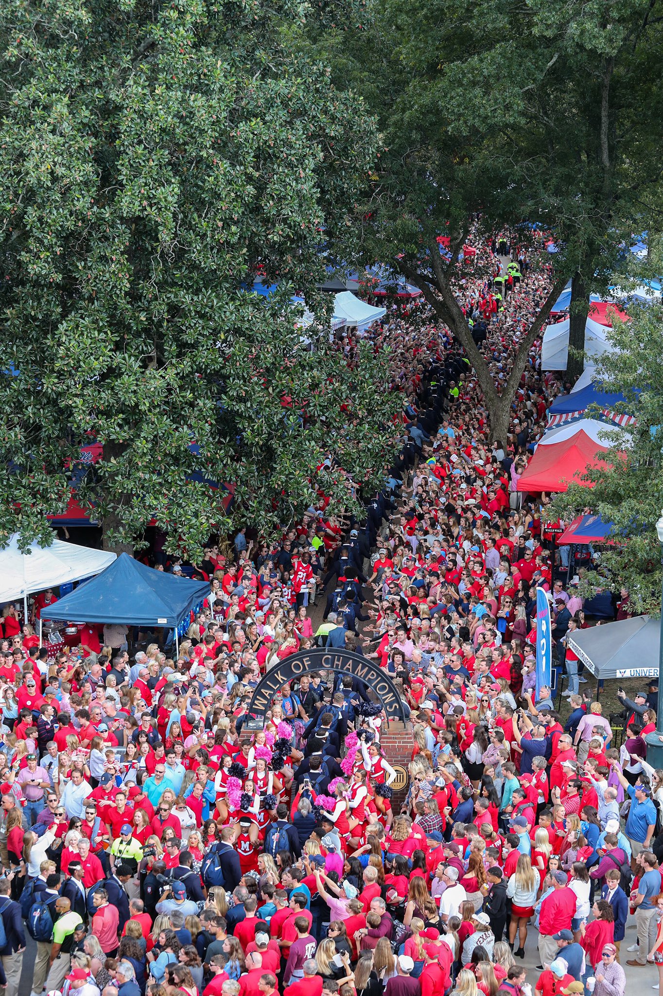 Ole Miss The Grove